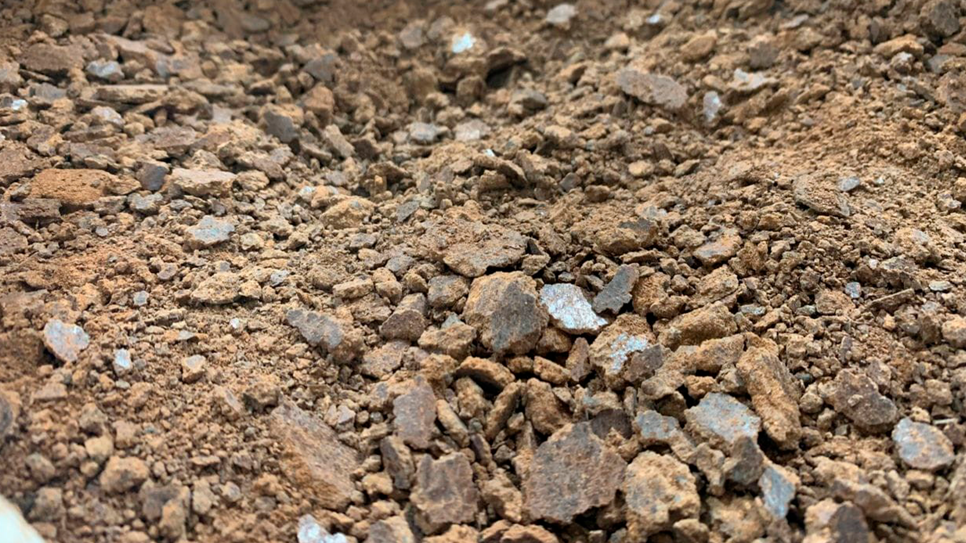 ICWP - Leader in Sustainable Cocoa Processing