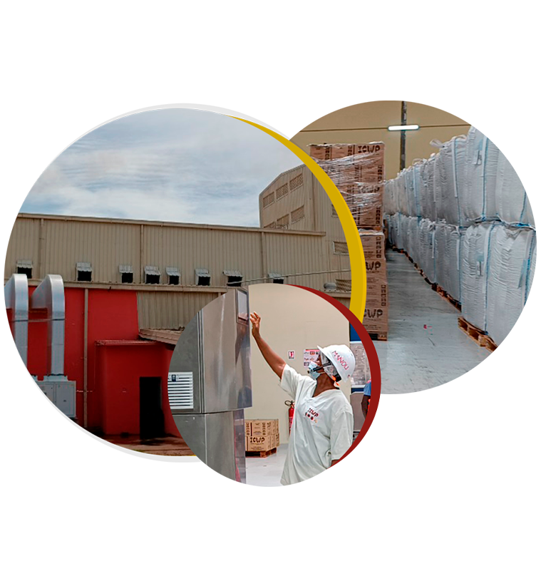 ICWP - Leader en Transformation Durable du Cacao