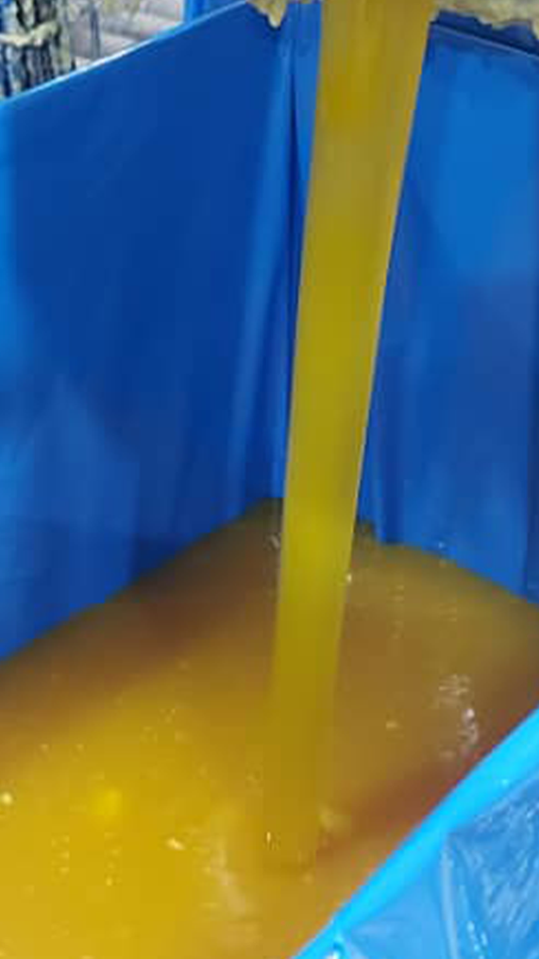 ICWP - Leader in Sustainable Cocoa Processing